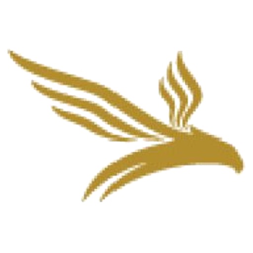 Dubai Insurance by Dubai Insurance