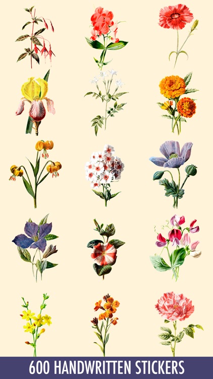 Sketches - 600 Handwritten Stickers by VICTOR VERDU