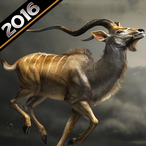 Dark Night Deer Hunting by Ankit Hidad