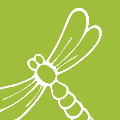 Inside Mediafly by Mediafly