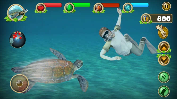Sea Turtle Survival Sim Games by Usman Sadiq