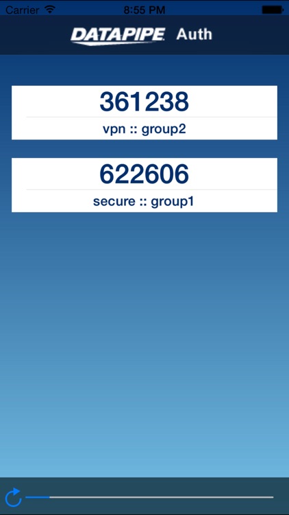 Datapipe-Auth by BlueAlly Technology Solutions, LLC