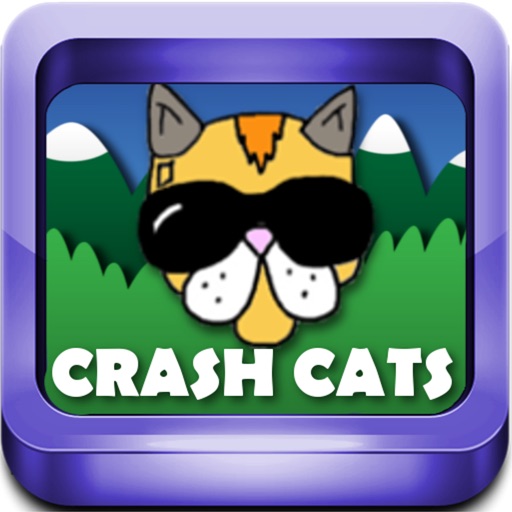 Crash Cats by Jon Lewis