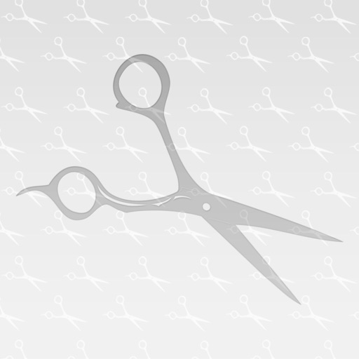 HairStyle Changer with face detection by Zizsoft Limited