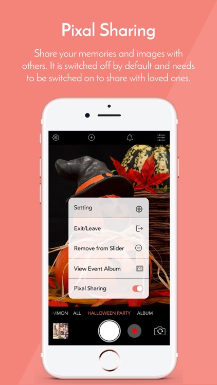 Pixal by Capture Inc Limited