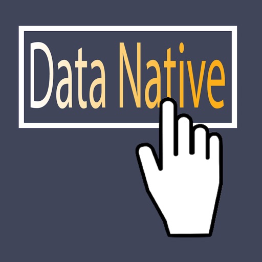 Data Native by Danny Flax