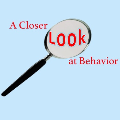 A Closer Look at Behavior by alma beaudoin