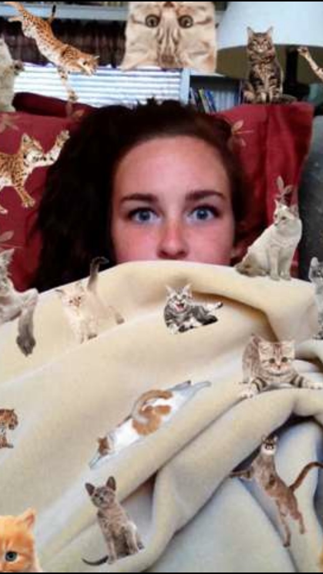 Cat Booth iPhone App