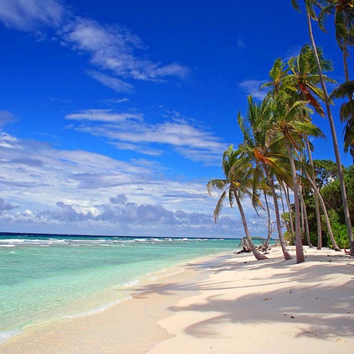 Relax with Tranzotica by Ken Pespisa