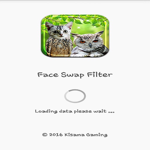 Face Swap Filter by LJ Williams