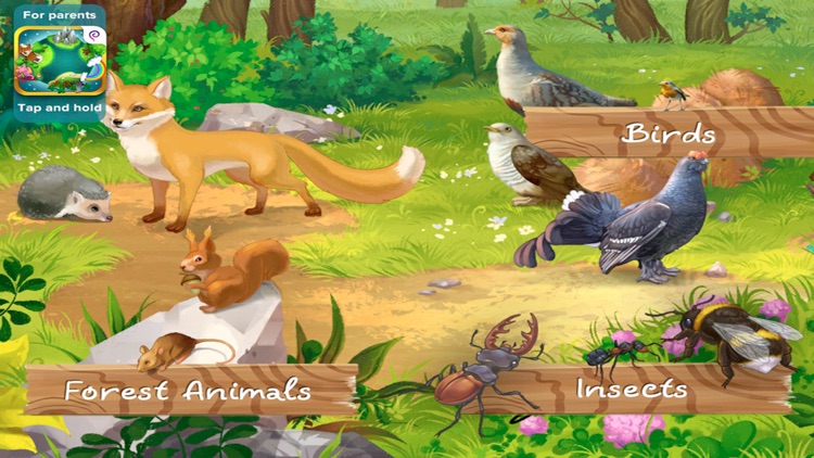 Forest Animals: Interactive Encyclopedia for Kids about European Fauna ...