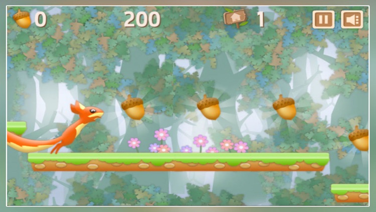 Nut Rush Summer by Sunil Chauhan