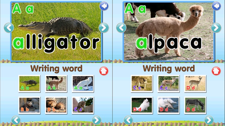 ABC Alphabet Animal Flashcards Write by SangHoon Lee