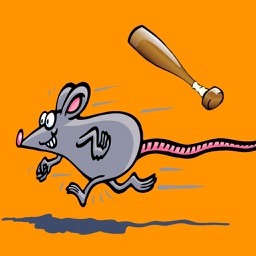 Splat The Rat by Expectancy Games