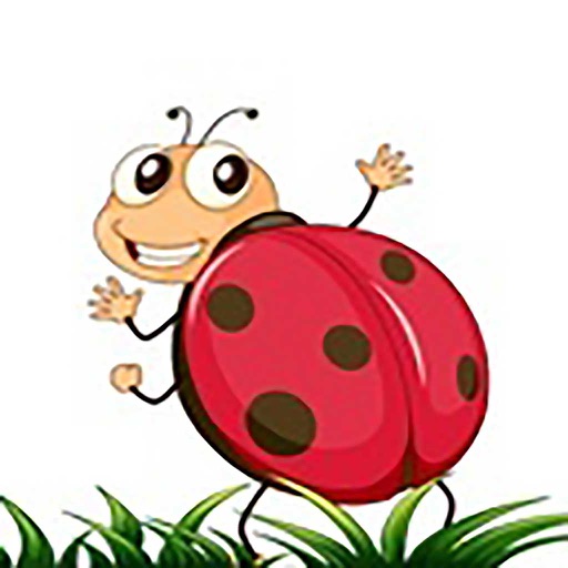 iboo bugs by virendra kumre