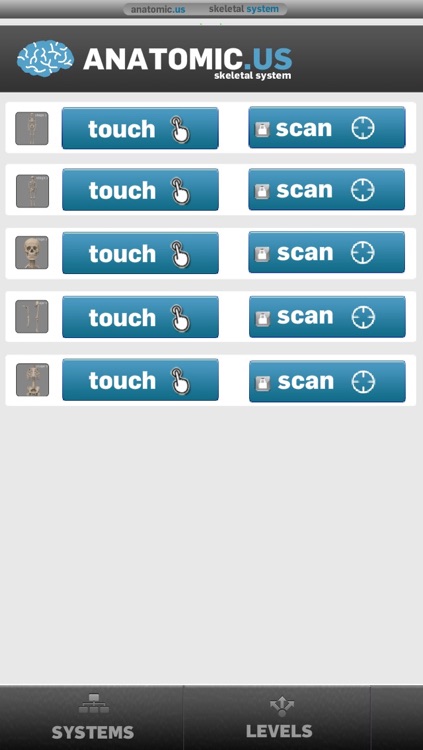 Skeletal Anatomy Game by Nar Internet