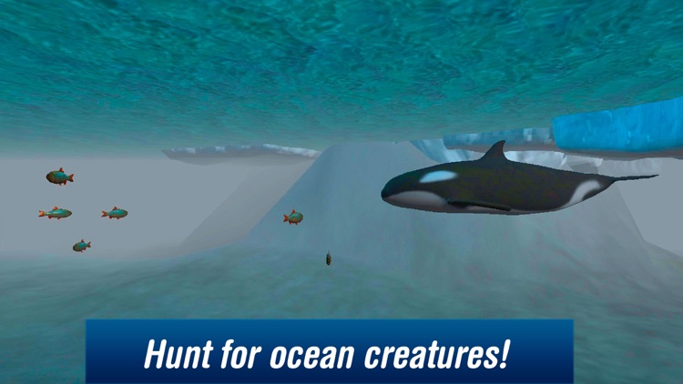 Killer Whale: Orca Simulator 3D by Games Banner Network