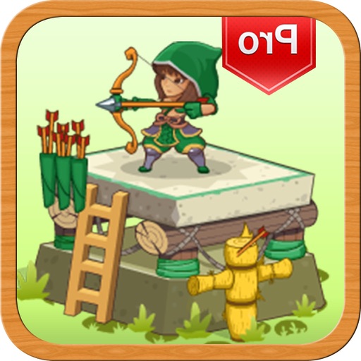 Little Commander by Tuan Nguyen Ngoc