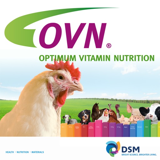 DSM Poultry Vitamin Quiz by SOZO CREATIVA