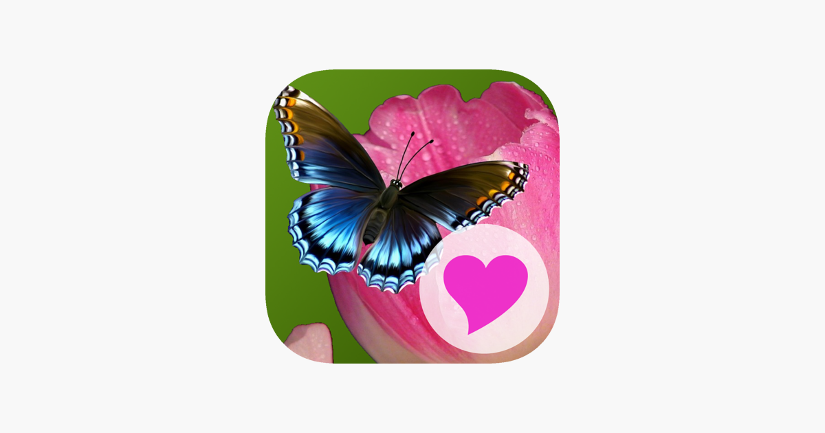 ‎570 Words on the App Store