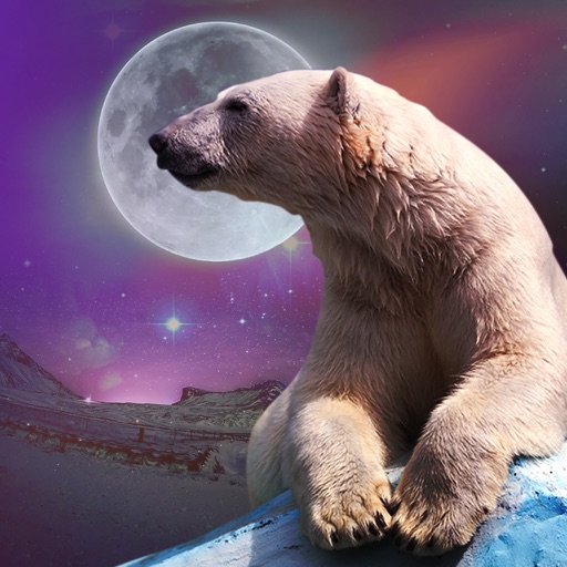 Discover MWorld Life At Poles by Monash University