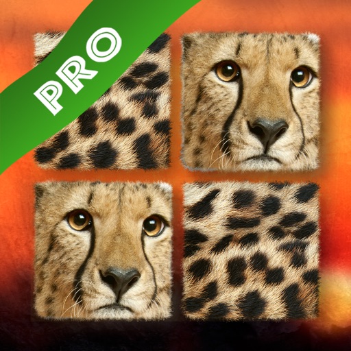 Play with Wildlife Safari Animals - Memo Game photo for preschoolers by ...