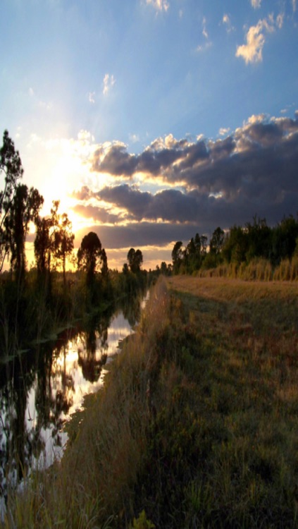 Relax with Tranzotica by Ken Pespisa