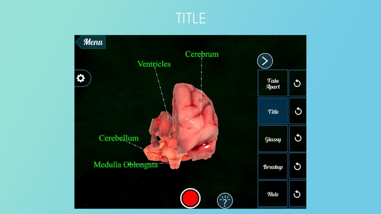 Virtual Reality (VR) Human Brain by Trendyworks Technologies Pvt. Ltd