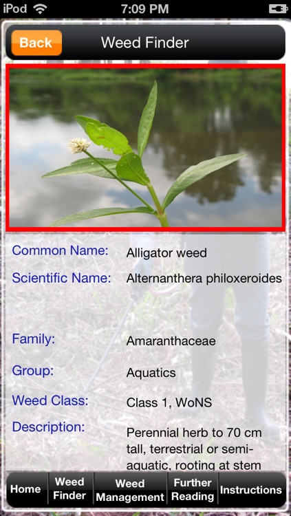 Weeds of Southern Queensland by The Weed Society of Queensland