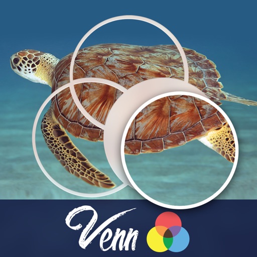 Venn Turtles: Overlapping Jigsaw Puzzles by Wiggles 3D