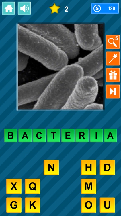 Close-up & Words - Science Edition by Ludobros