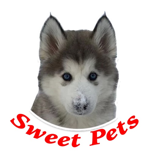 Sweet Pets by DrasMak Interactive