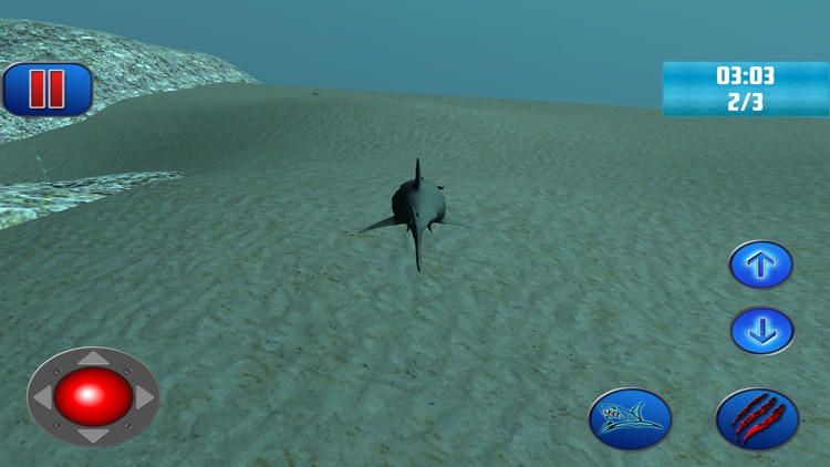Shark Simulator 3D - White Shark Attack Sim by Ubaid Ahmed Alwani