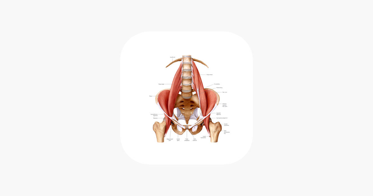 ‎App Store에서 제공하는 PSOAS