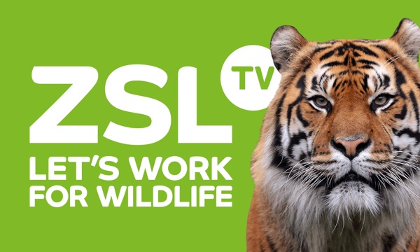 ZSL TV for Apple TV by Zoological Society of London (ZSL)