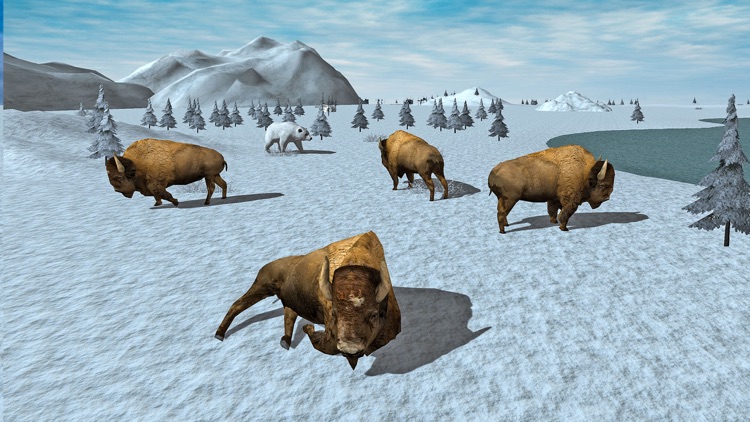 Angry Bison American Buffalo Simulator by Imran Sohail