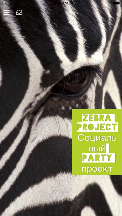 ZEBRA Project by Ekaterina Akimova