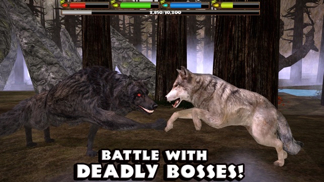 Ultimate Wolf Simulator on AppGamer.com