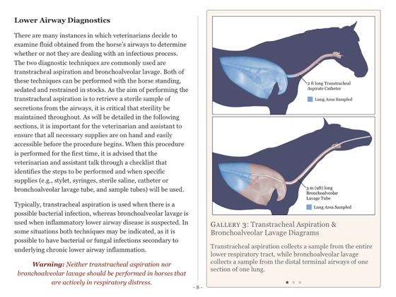 ‎Equine Lower Respiratory Disease on Apple Books