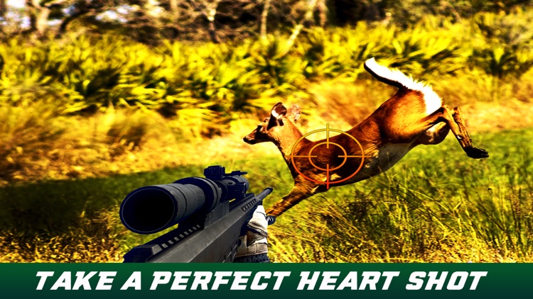 Africans White Tail Dead Deer Hunting Challenge by Tanveer Ahmed