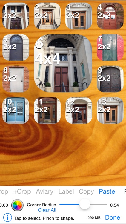 Mosaic Collage+ by Limit Point Software