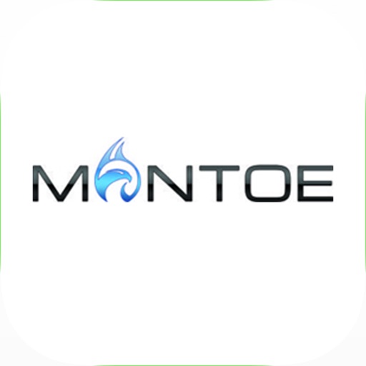 Montoe by I-Pulse