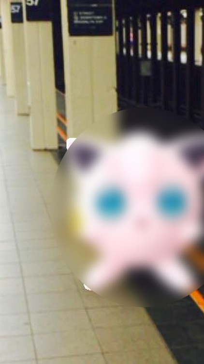 PokeCam - Fake Photo Prank for Pokemon Go by Saliha Bhutta