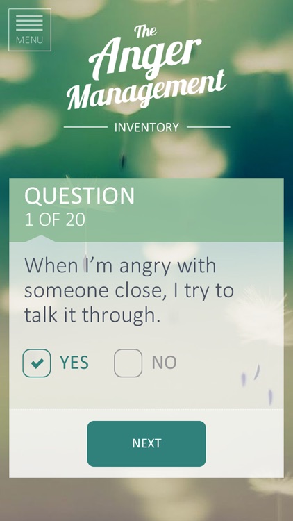 Anger Management Inventory by Leon Mitchell-Smith
