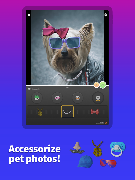 Pet Animator Send ECards App Voor IPhone IPad En IPod Touch Pet Animator Send ECards App Voor IPhone IPad En IPod Touch