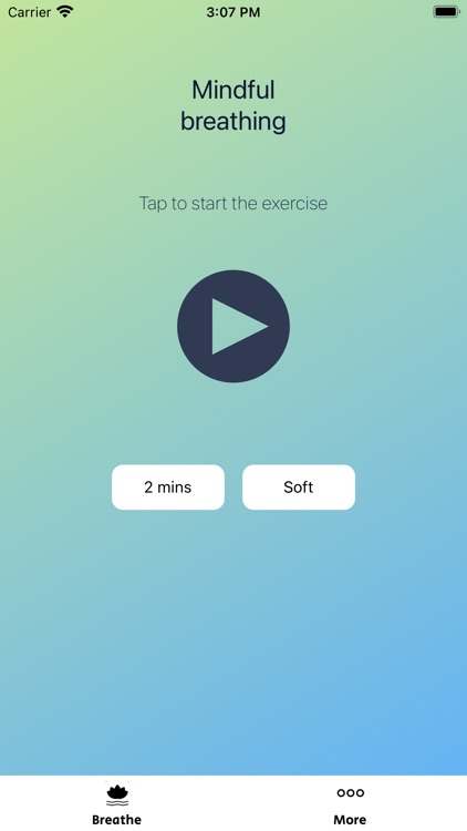 Mindful breaths by Hitanshu Shah