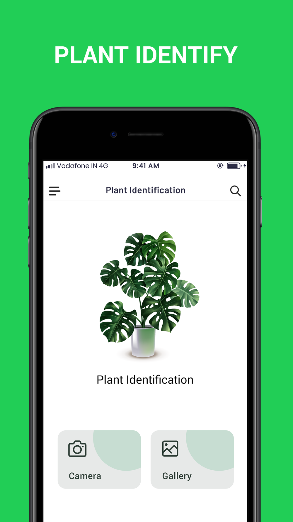 Plant Identification App Free Plant Identification Apps One Can