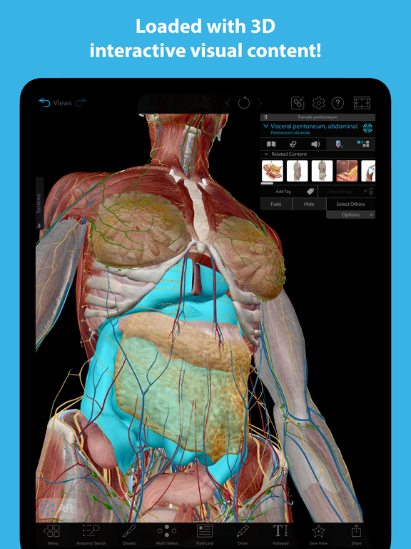 Human Anatomy Atlas 2023 App Voor IPhone IPad En IPod Touch AppWereld
