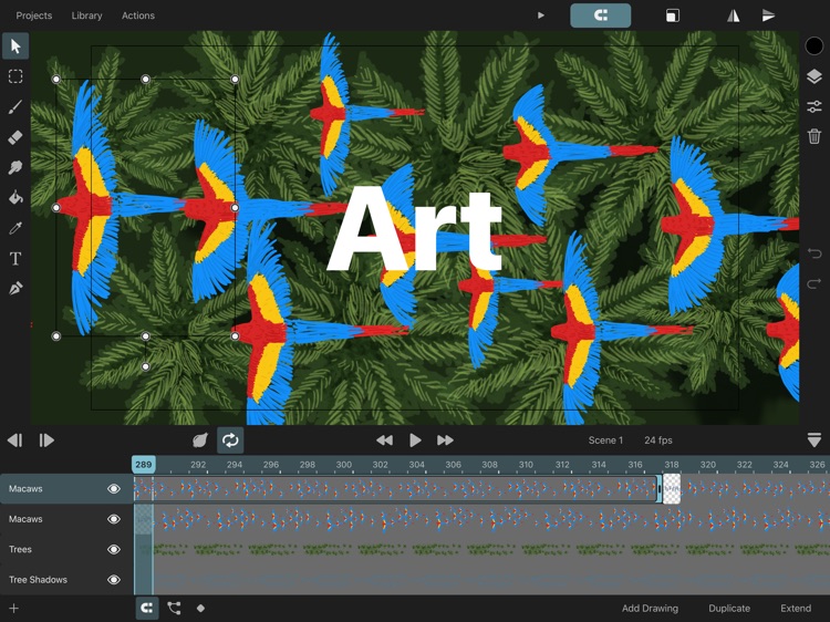 ToonSquid by Keiwan Donyagard