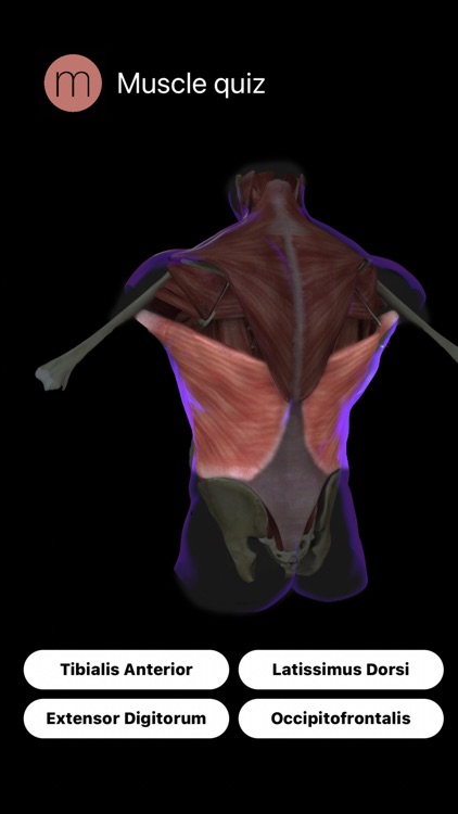 Human Anatomy Study Guide By Ryan Bittorf